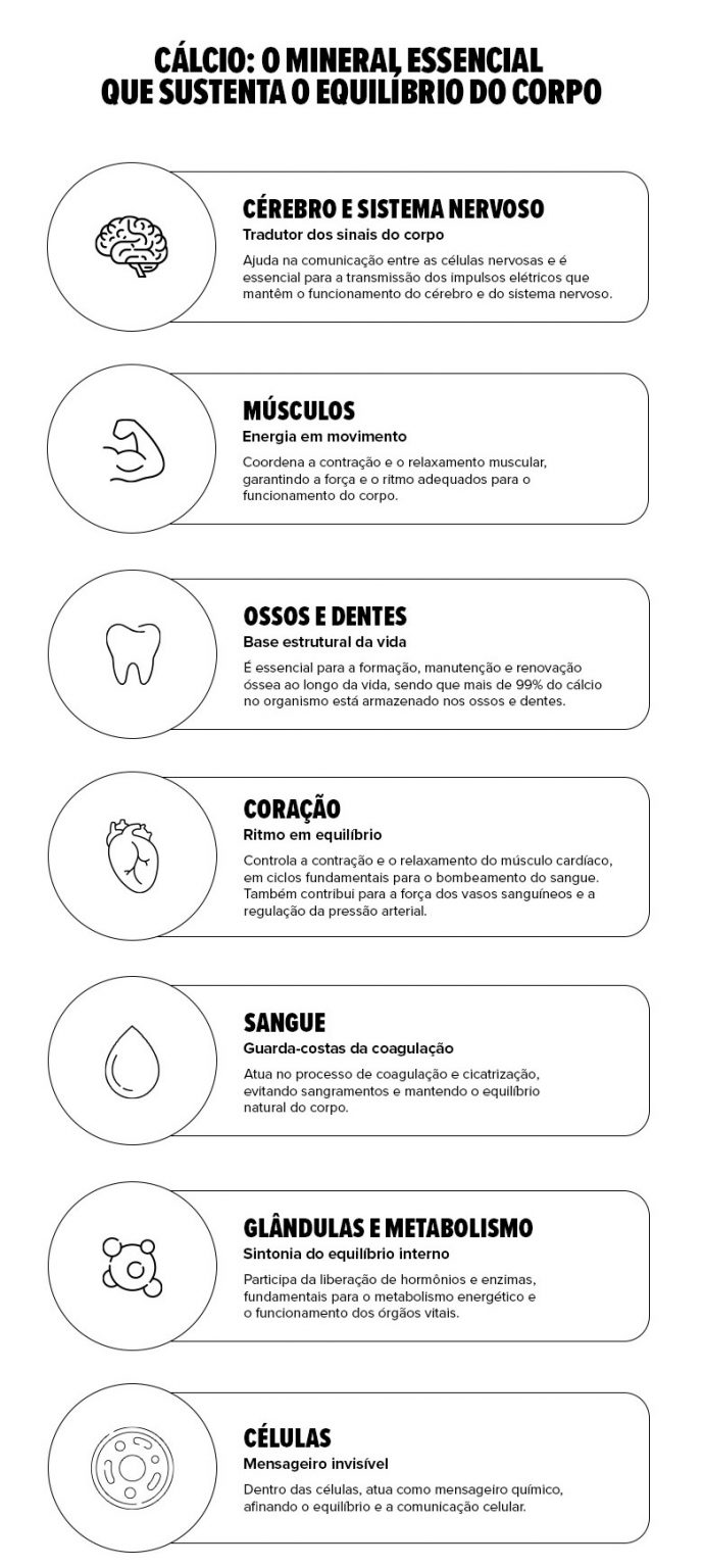 Guia completo sobre cálcio